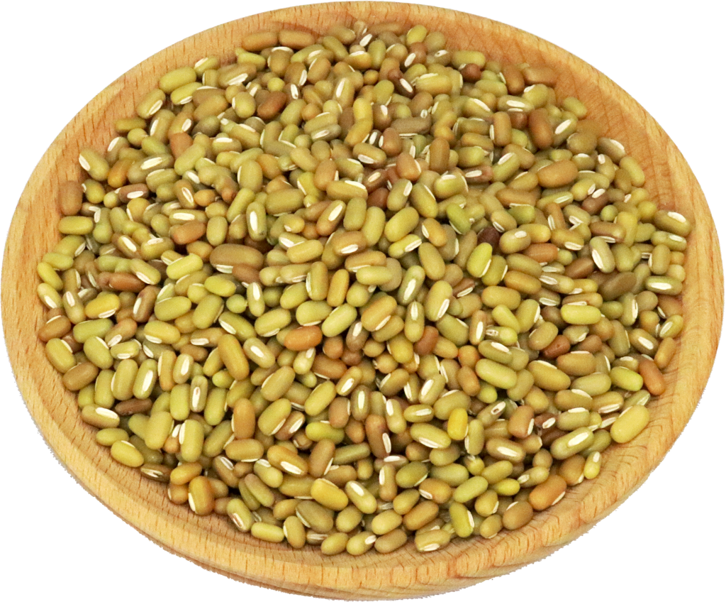 Peyin Beans/White Bamboo Beans - Sheng Kimn Hong Sdn Bhd